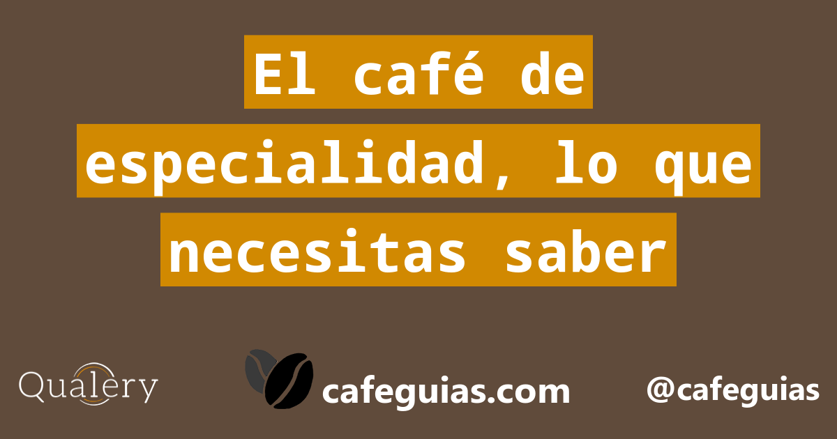 El café de especialidad, lo que necesitas saber - Café Guía