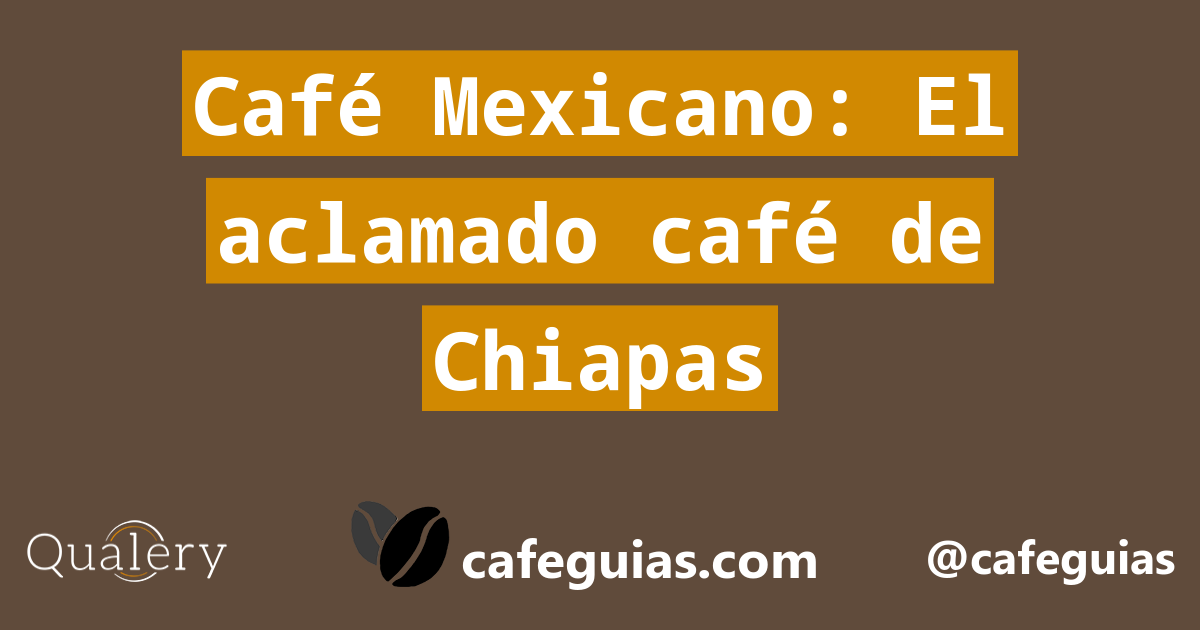 Café Mexicano: El aclamado café de Chiapas - Café Guía