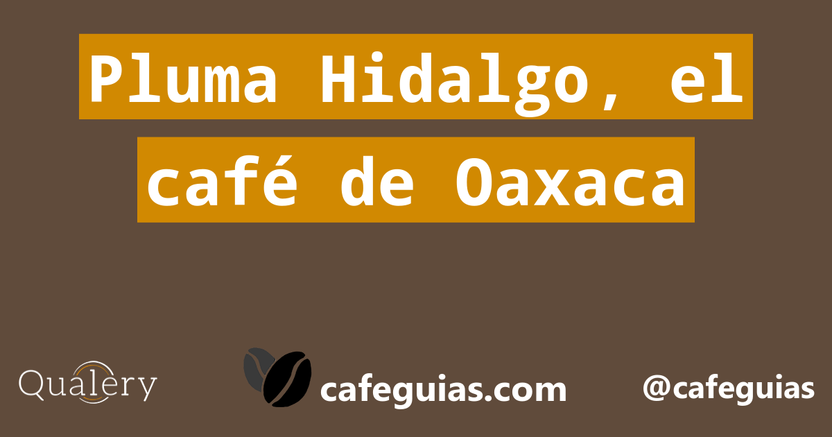 Pluma Hidalgo, el café de Oaxaca - Café Guía